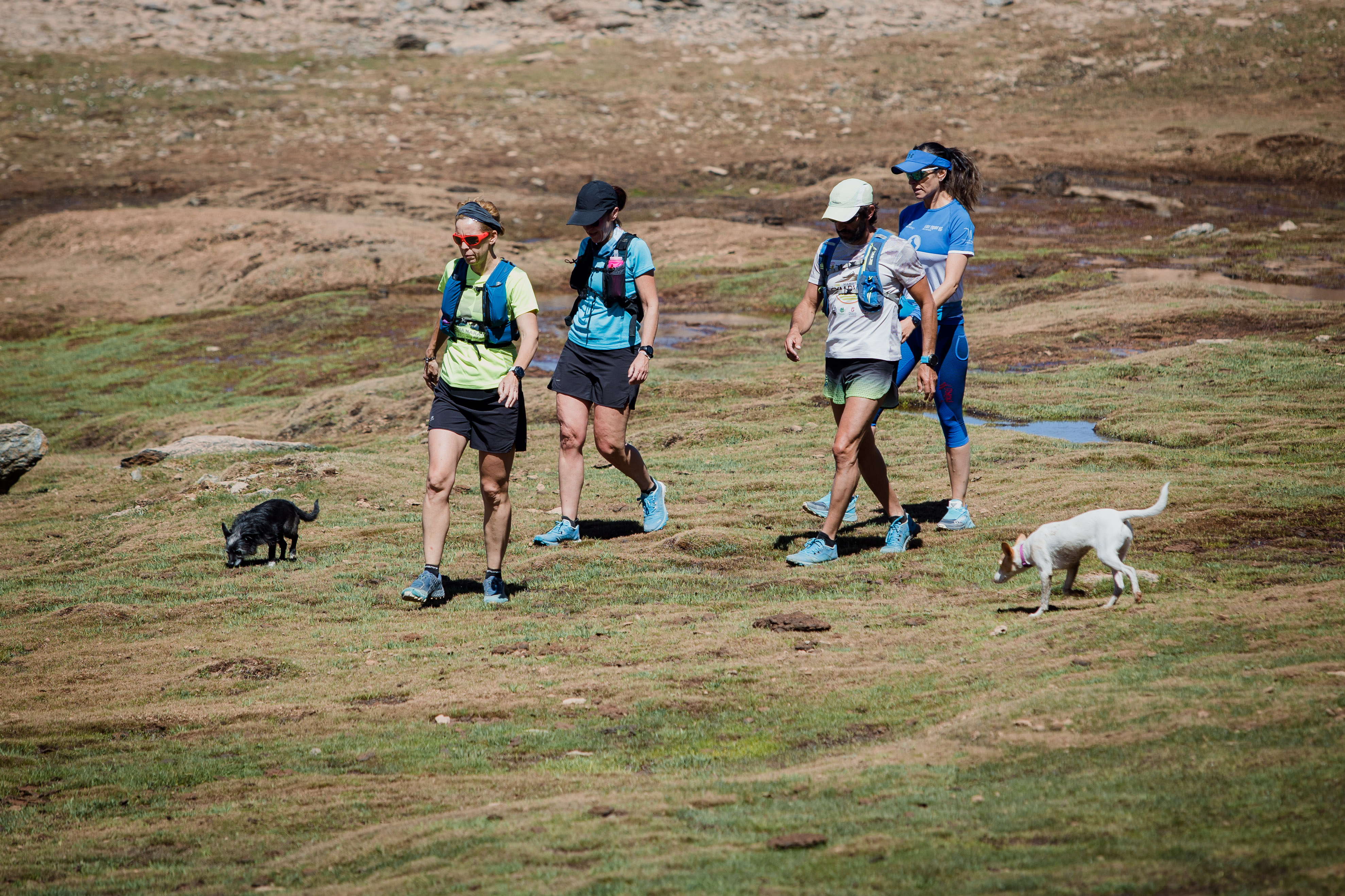 Get to know Sierra Nevada Program