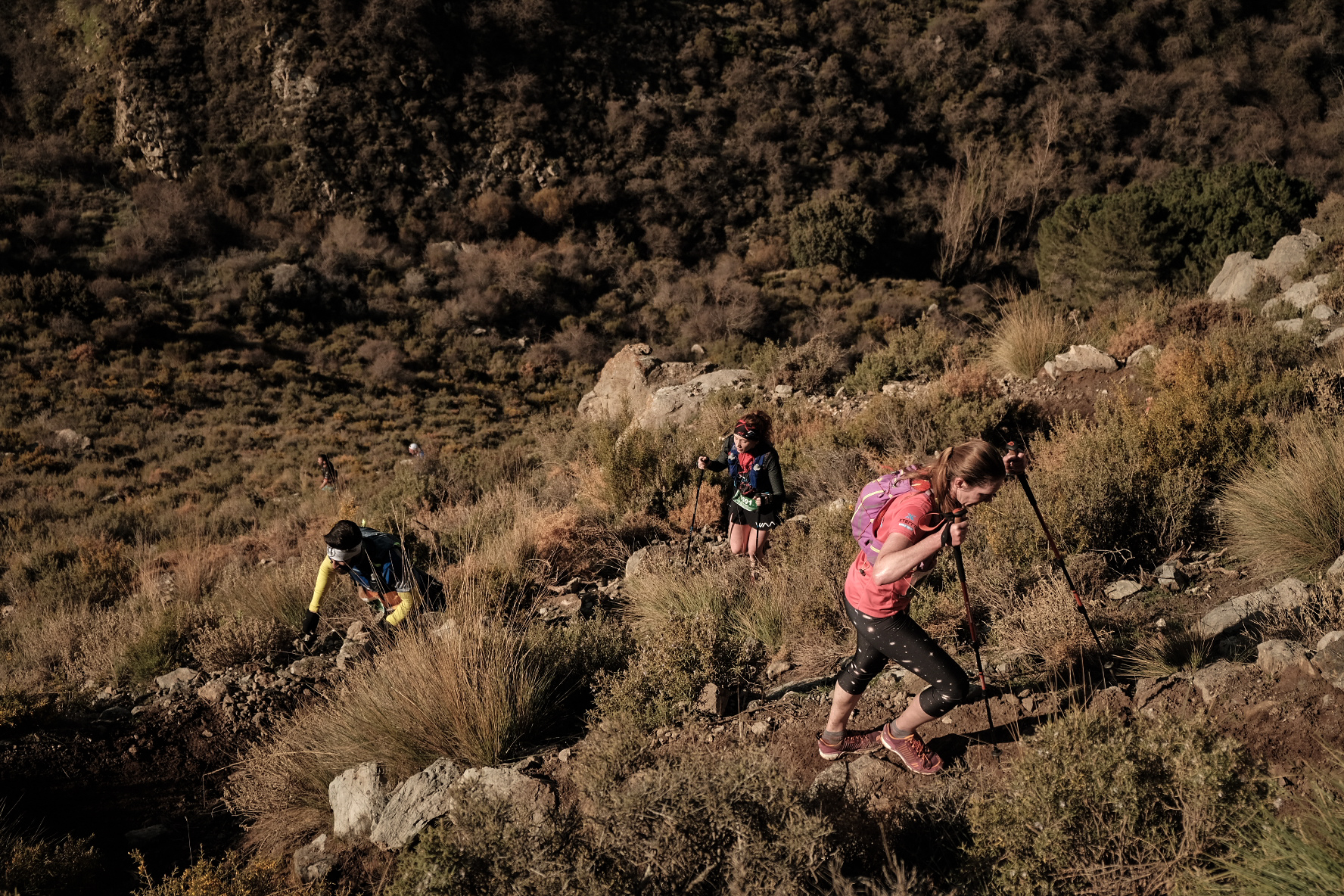 The Half Marathon closes the great weekend of Ultra Sierra Nevada